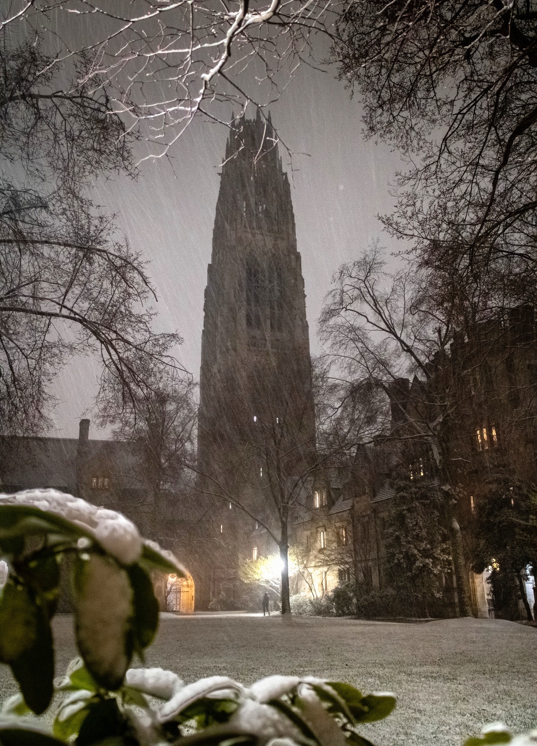 Yale University Campus Winter Yale University Buildings In Winter