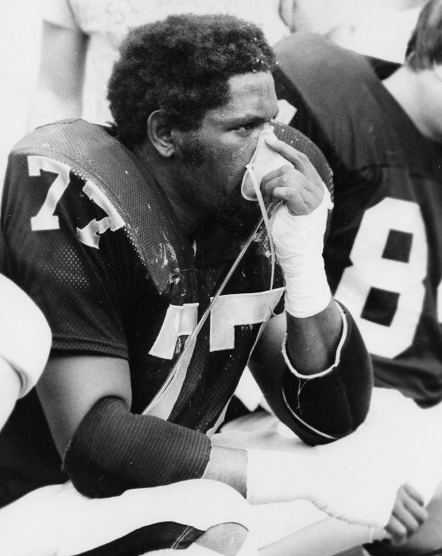Bubba Smith Raiders