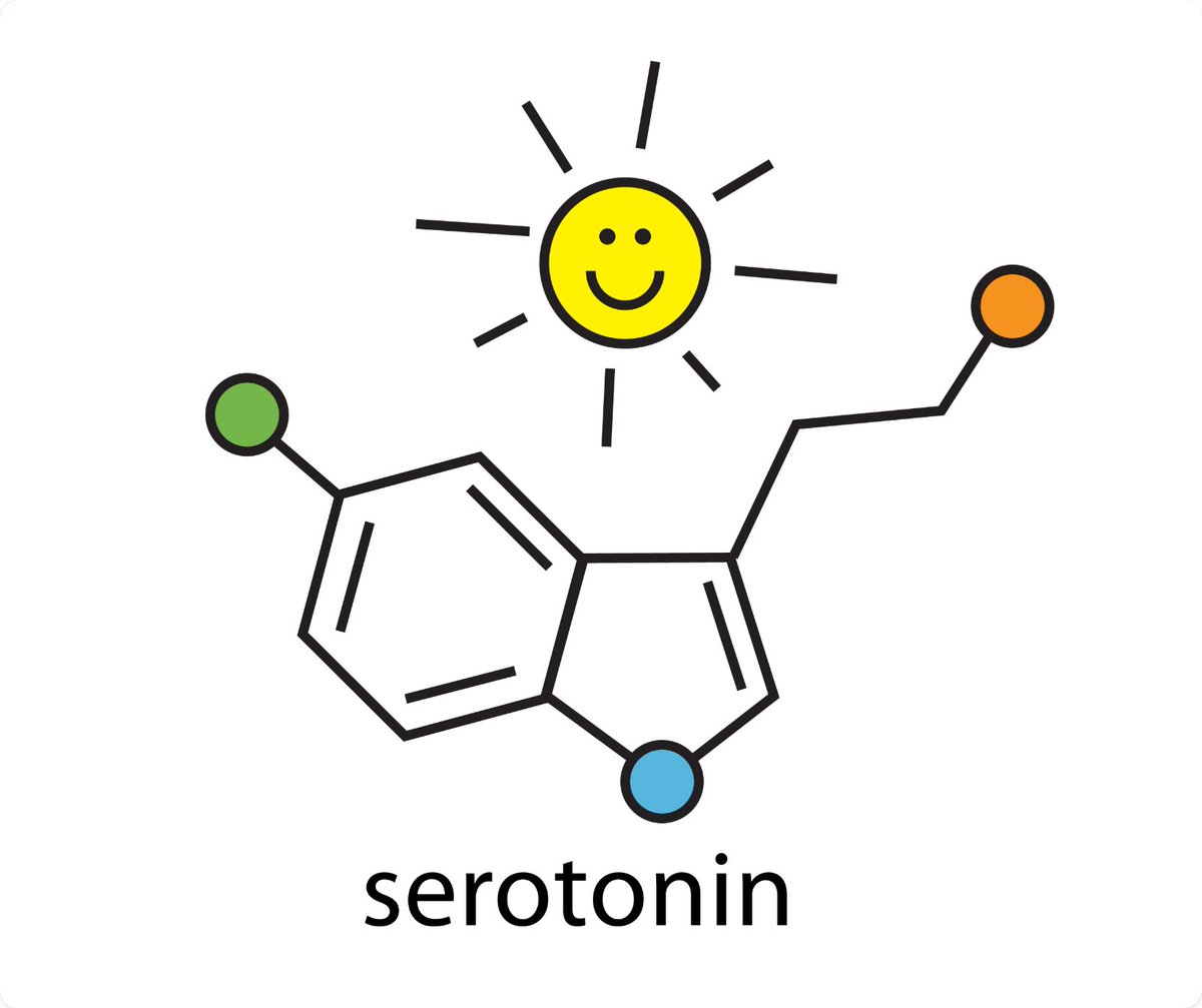 SEROTONIN The so-called feel-good neurotransmitter. Too little is ...