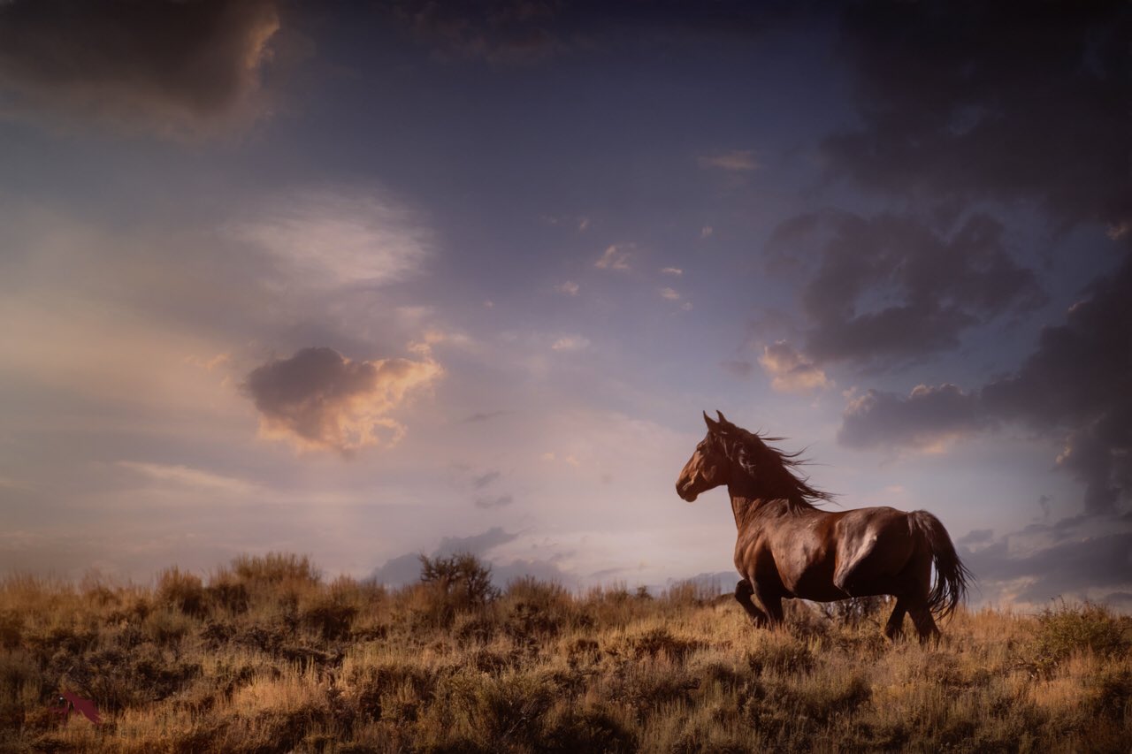 Deb Lee Carson (@DebLeeCarson) / Twitter