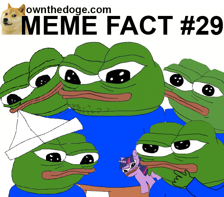 Fact Frog Meme