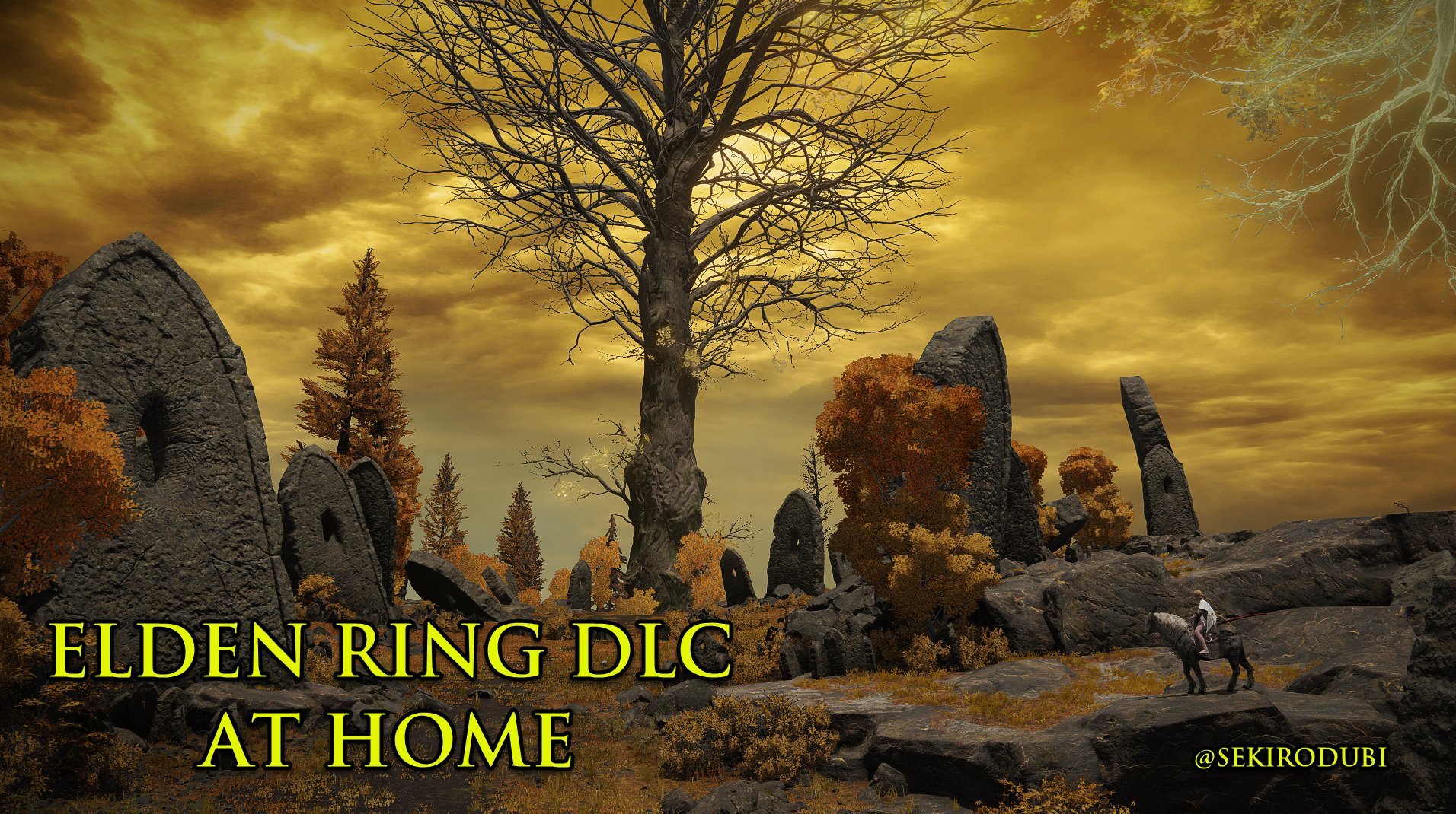 Sekiro Dubi (Elden Ring Expansion at home) on Twitter: "Mom, I want the ...