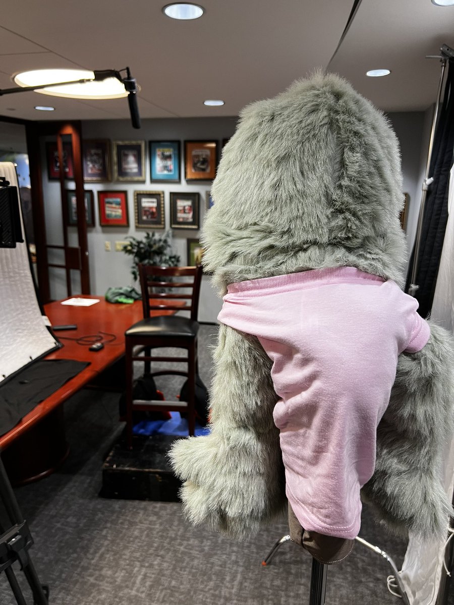 Mikey Dowling on Twitter: "We needed a good eyeline for interviews today. Some might use a ...