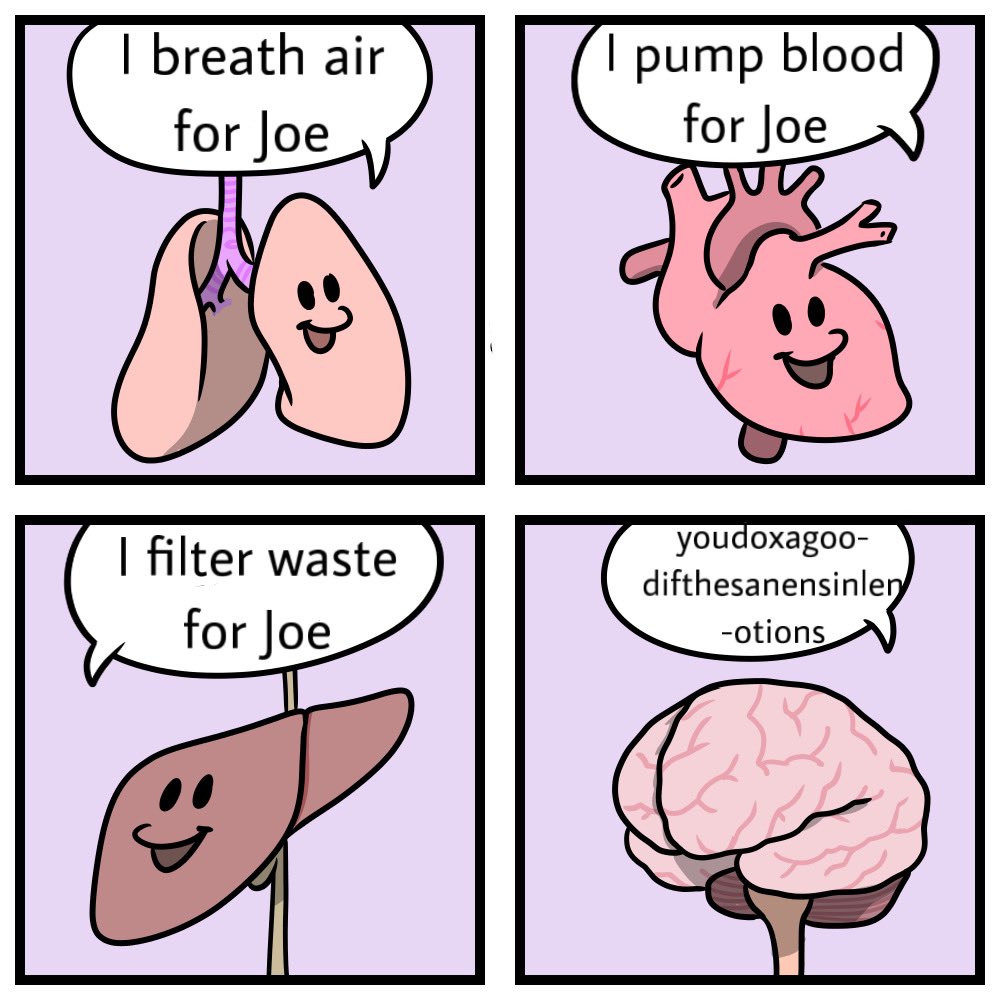 Respiratory System Funny