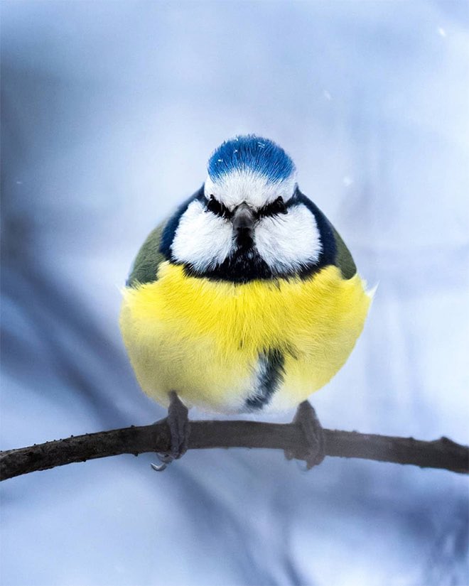 kira* on Twitter: "https://t.co/tSlOSn5PGW" / Twitter