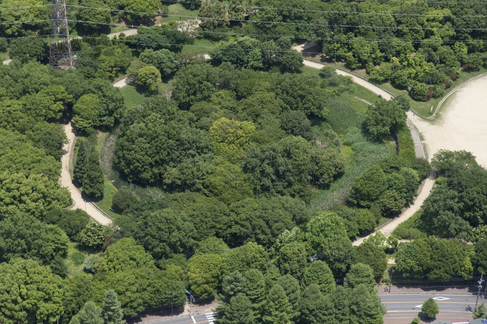 ユック on Twitter: "RT @sakai_koho: ／ 古墳に登れるのはこの日だけ！ 世界遺産・百舌鳥古墳群 特別公開 \ 出土品を間近で見たり、学芸員の解説を聞いたりすることが ...