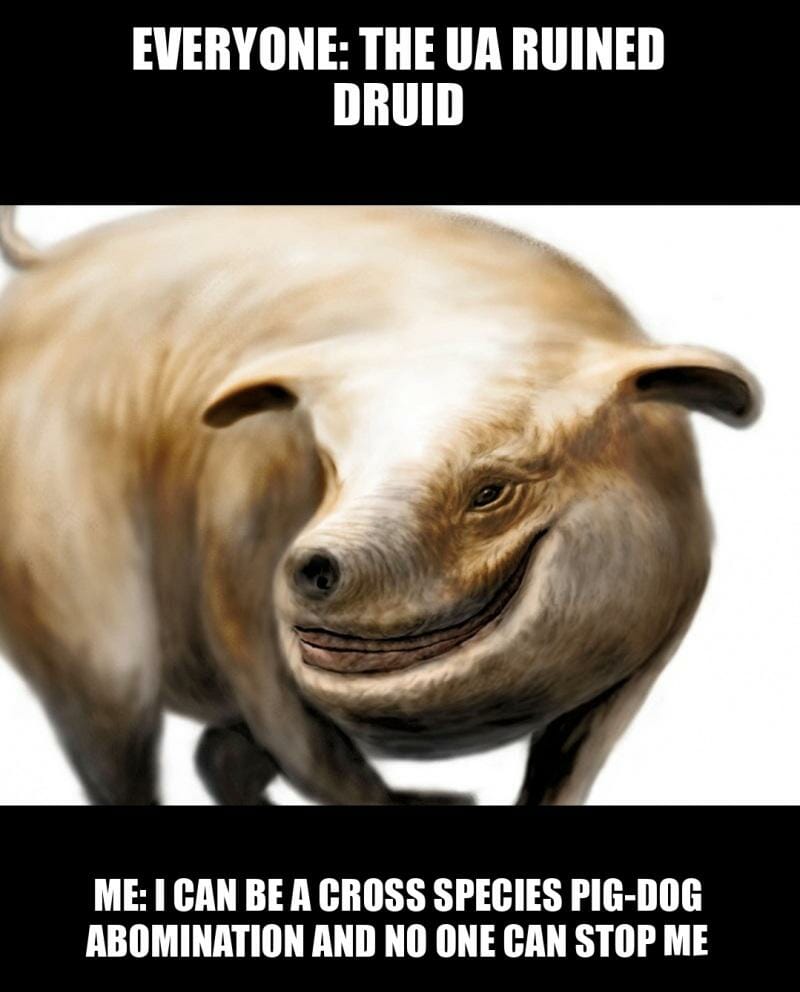 Animal Hybrid Memes
