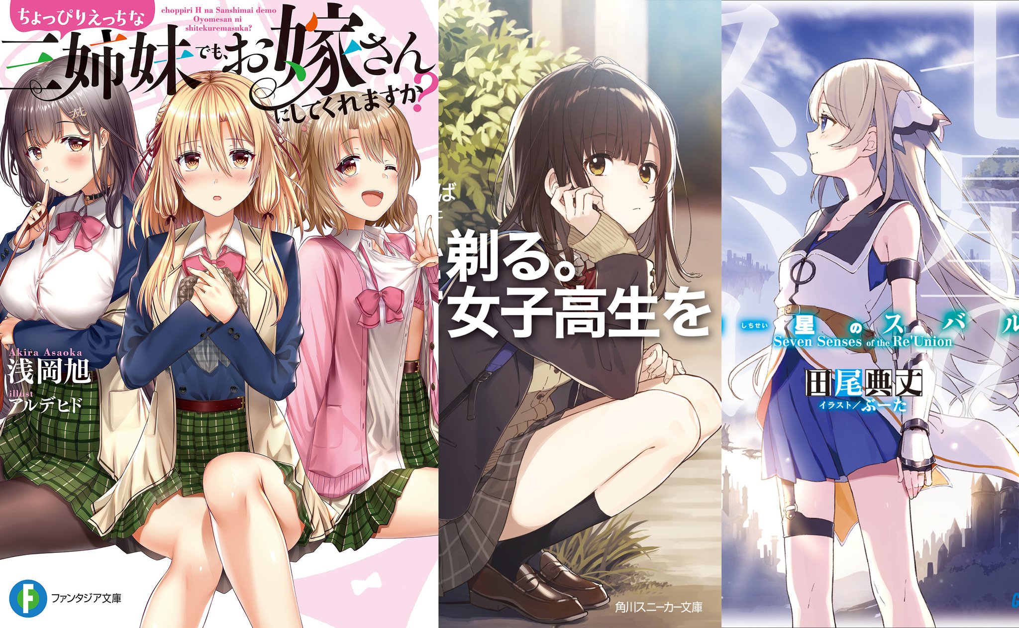 Kyo2b on Twitter: "#newnovel by Akira Asaoka (Choppiri Ecchi Oyome-san) x booota art (Higehiro ...