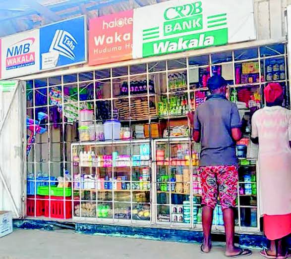 MAWAZO 100+ YA BIASHARA ILI KUINUA AU KUONGEZA KIPATO CHAKO ...