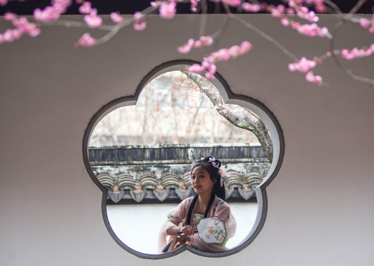 Enjoying plum blossoms has been a great pleasure in China since ancient ...