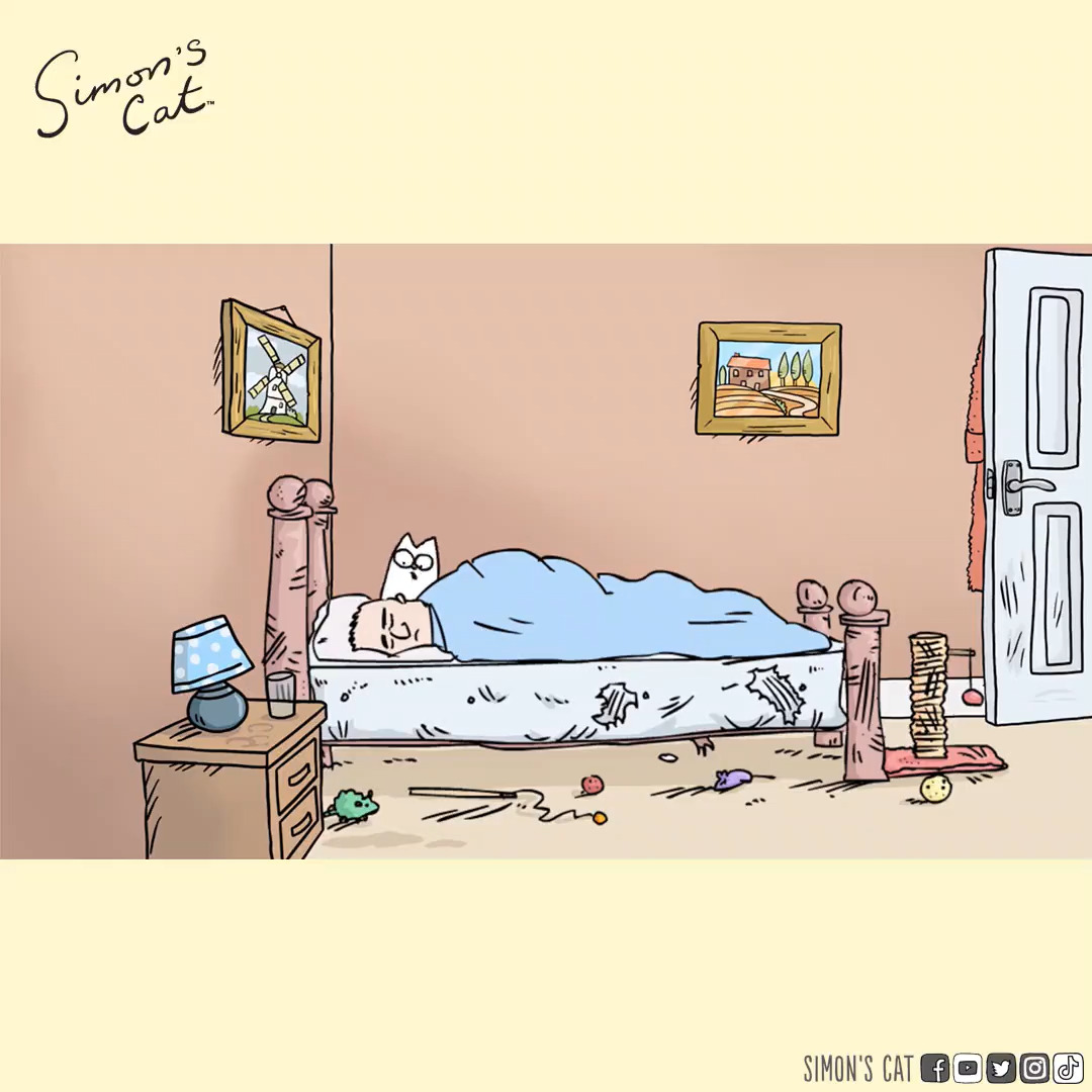 Evan🤷🏻‍♀️(PARADOLIA) on Twitter: "RT @SimonsCat: It's the 15 years ...