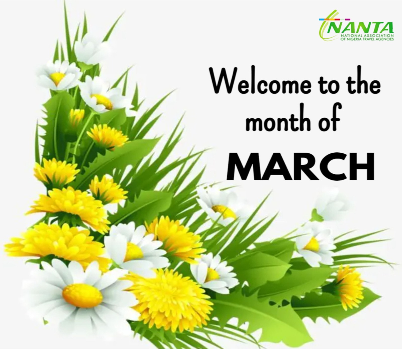 Welcome March Air Peace On X: "Welcome To March. Wishing You A Month