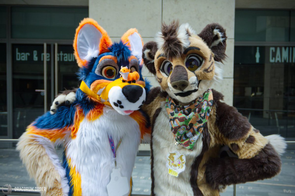 Lexy (and Riley!) 🔜 CFz on Twitter: "RT @DracorumOrder: A brief break ...