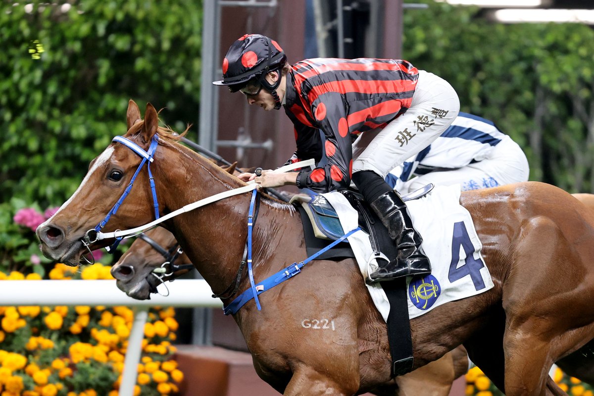 Atomic Force! 💥 A winner in Great Britain, twice in France incl. at G2 ...