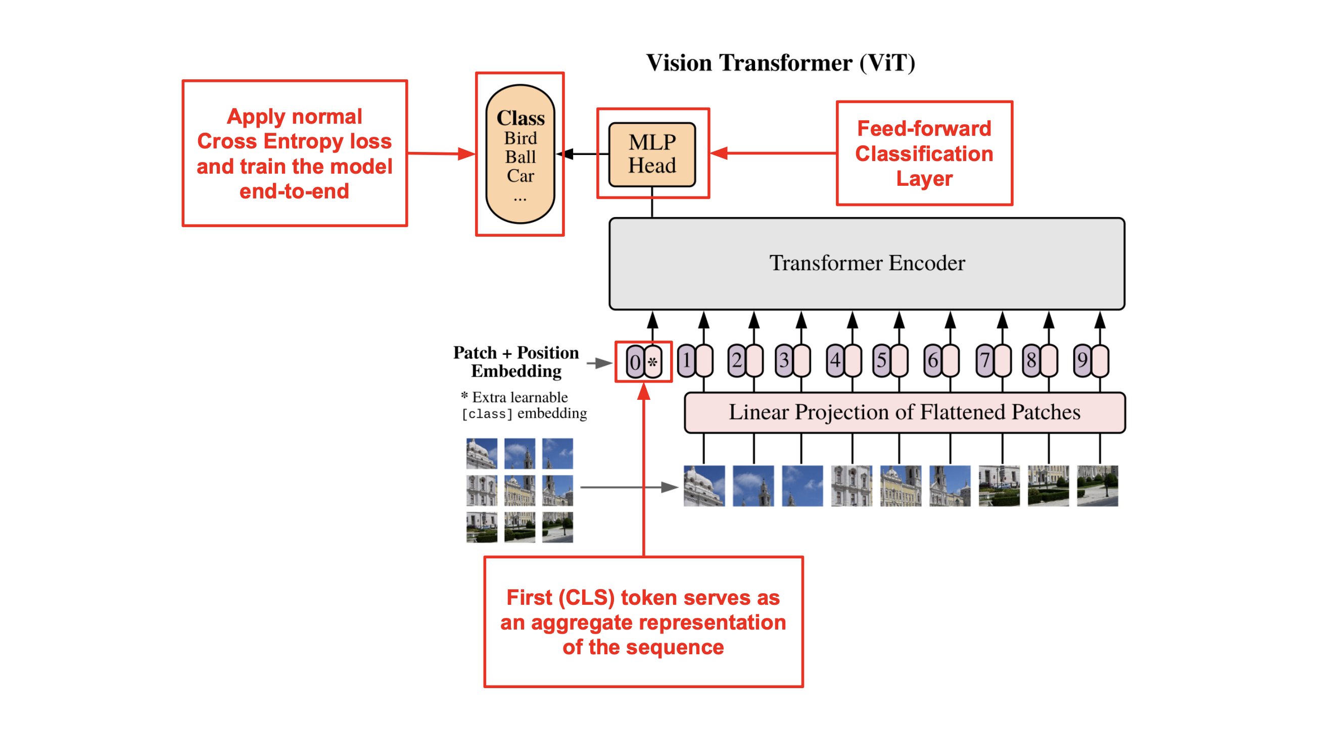 Cameron R. Wolfe on Twitter: "Vision Transformers (ViTs) are a powerful deep learning ...