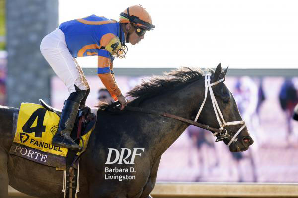 Daily Racing Form on Twitter: "Check out who's hot and who's not for the Kentucky Derby with ...