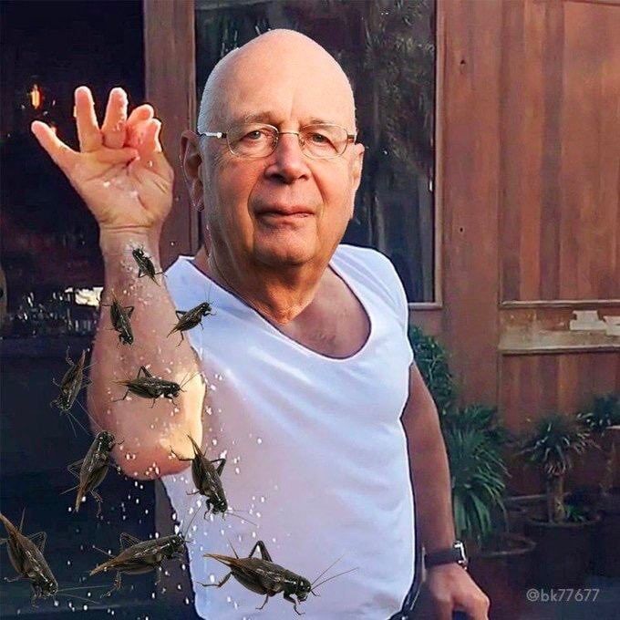 Have you noticed the slow push of eating bugs in the news? > General ...