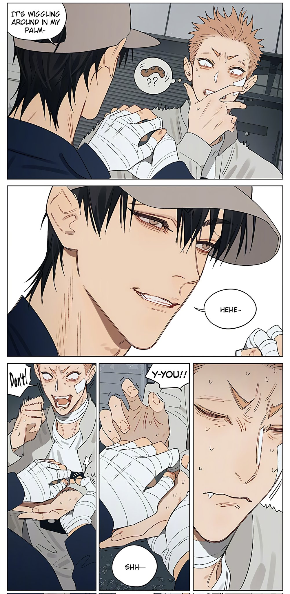 傲娇毛毛仔 | maomao (@maomaozaii) / Twitter