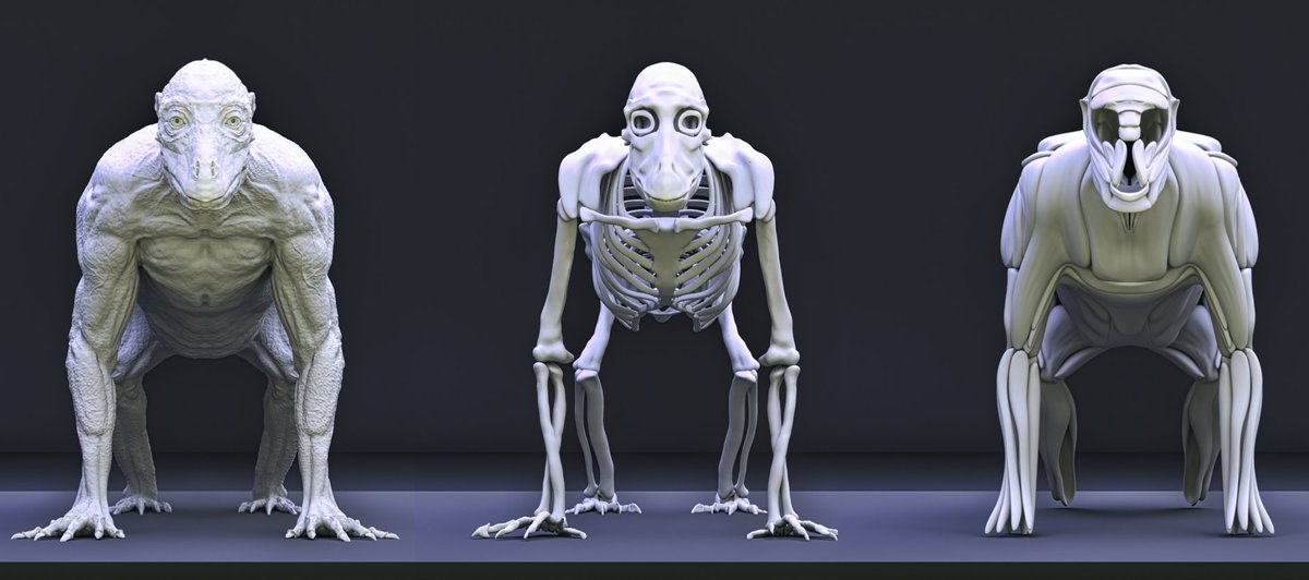 Minecraft Ghast Anatomy