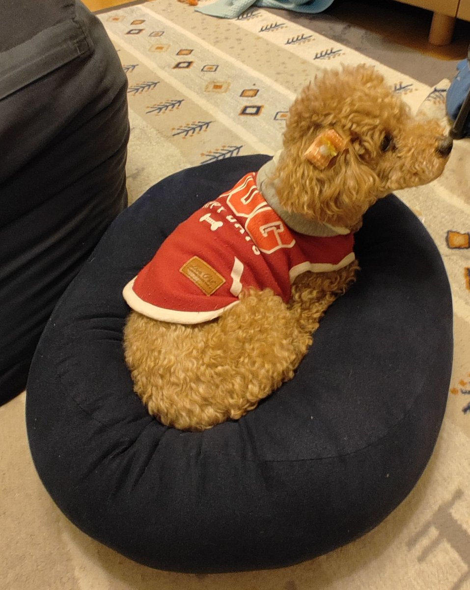 うり坊(@uribou) - Twilog