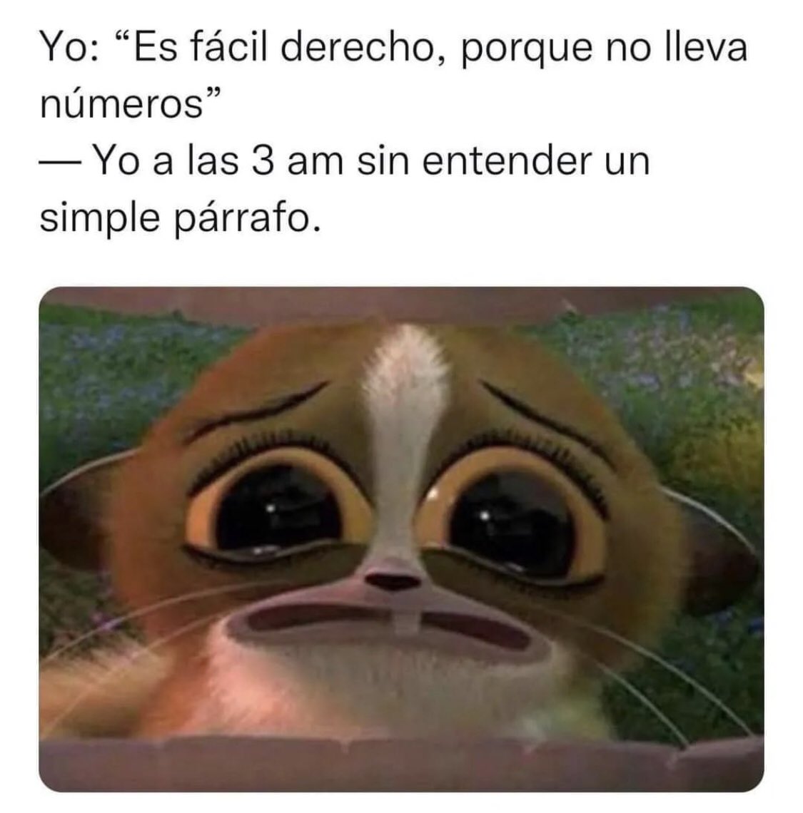 Funny Cabo Memes Cabo Memes And Images Imgur