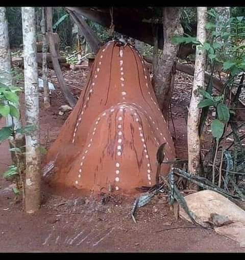 Those Ancestral alters in your family was instituted for your lineage ...