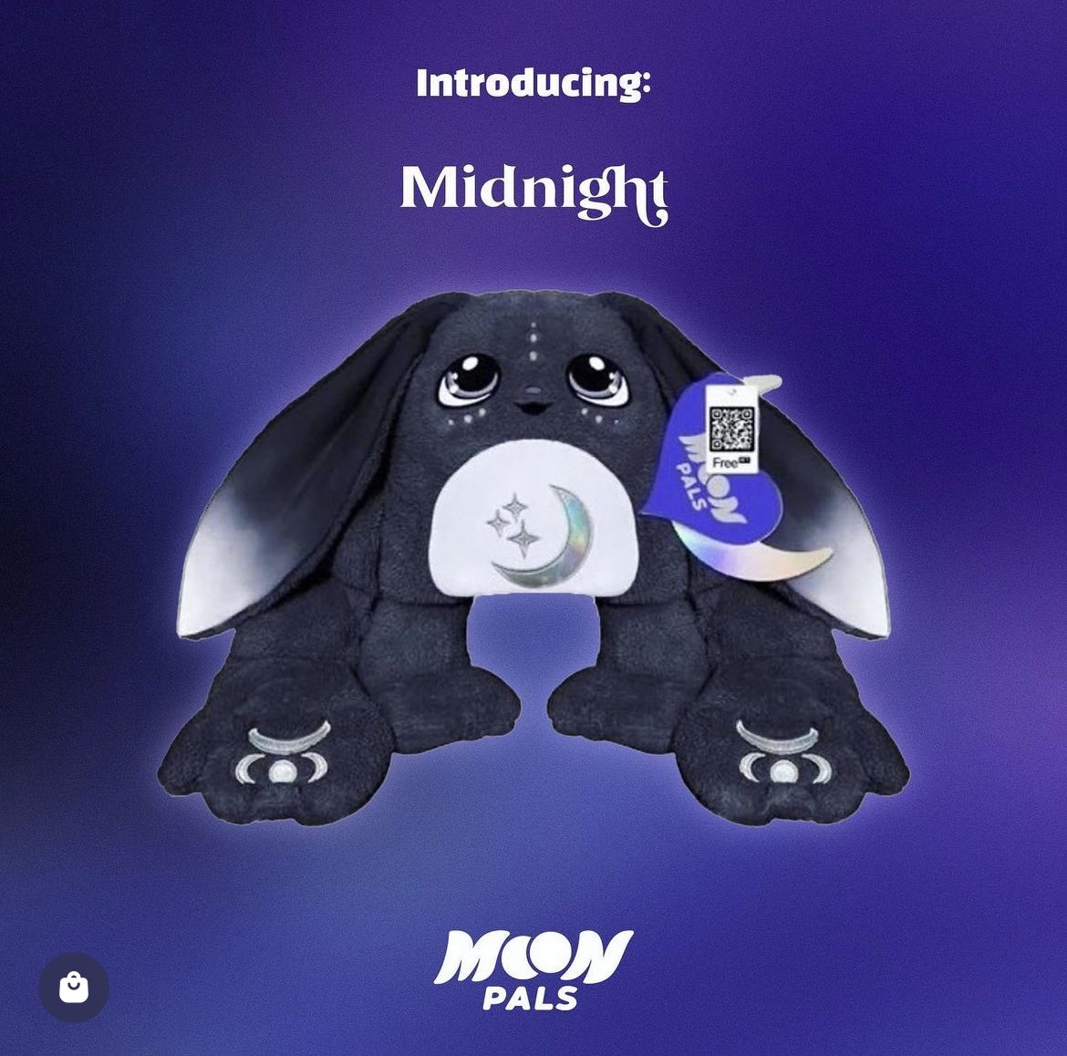 John Fio on Twitter: "Midnight Mystery Moon Pal pre order with Free NFT going FAST!!! I love ...