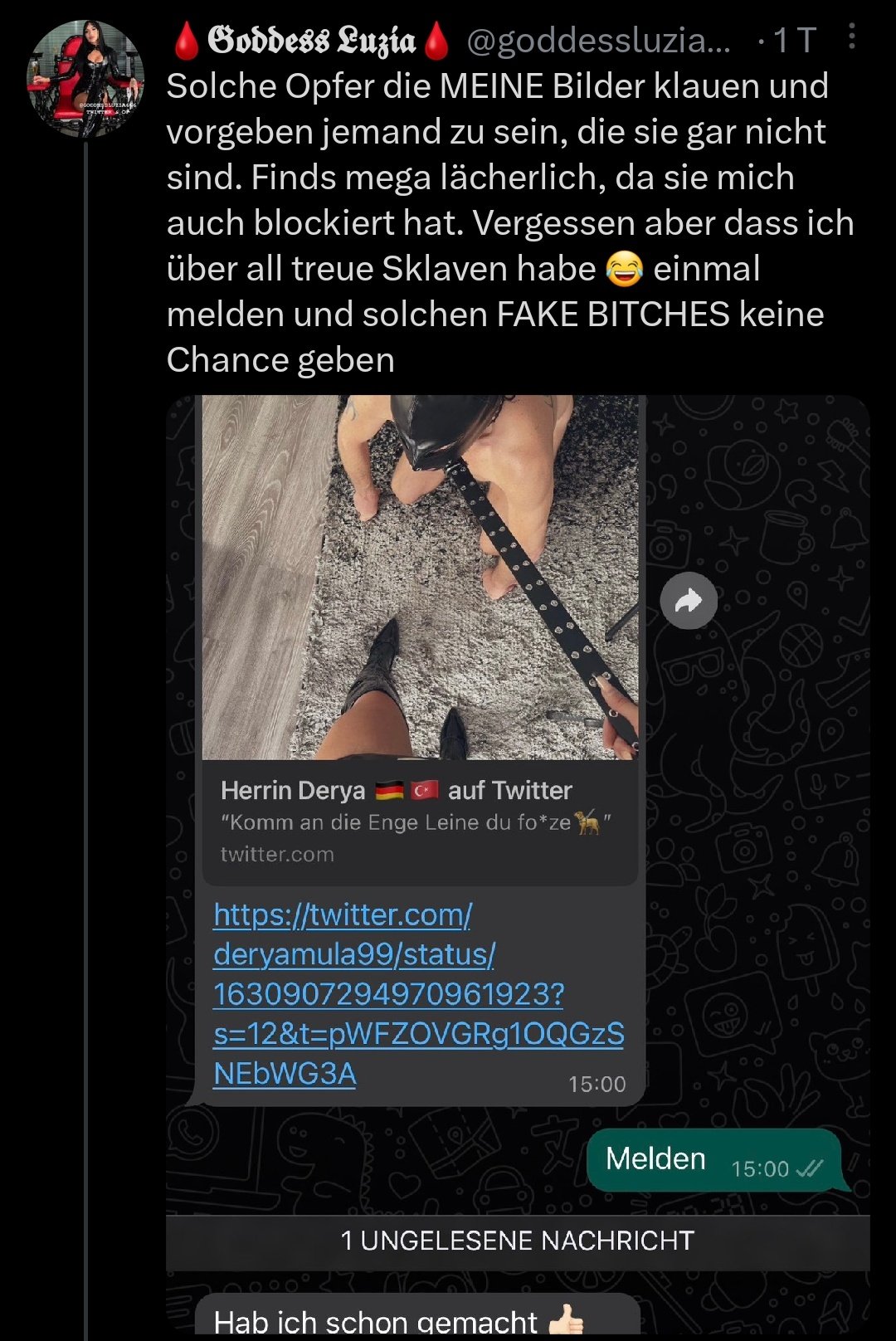 Sklave Tom (Eigentum von Herrin Elli) on Twitter: "@goddesscroatiaa ist fake # ...