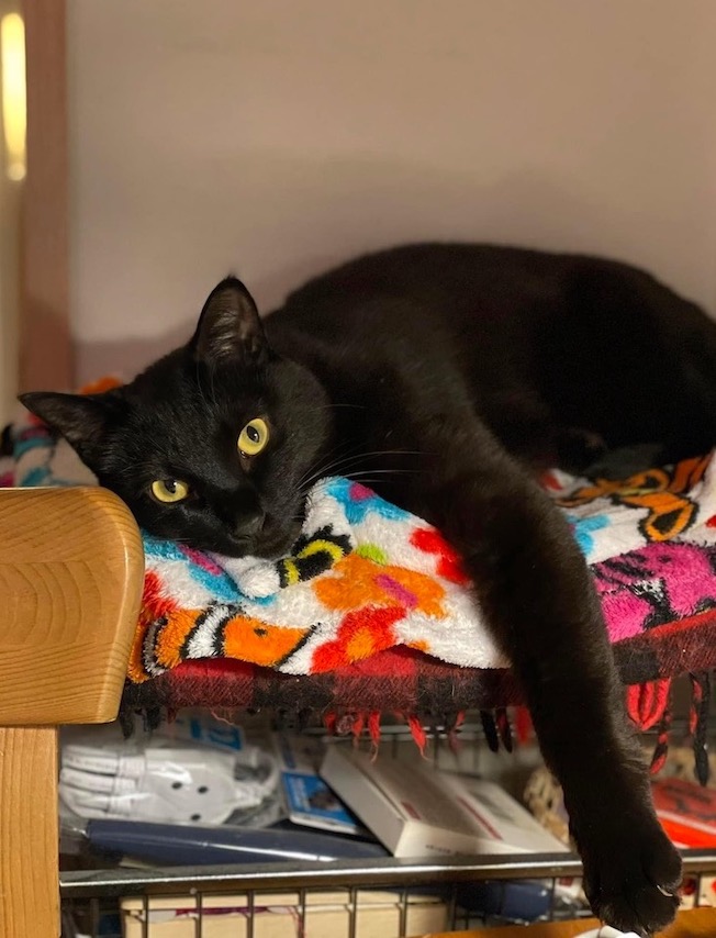 零 兄貴(@zero_aniki) - Twilog (ツイログ)