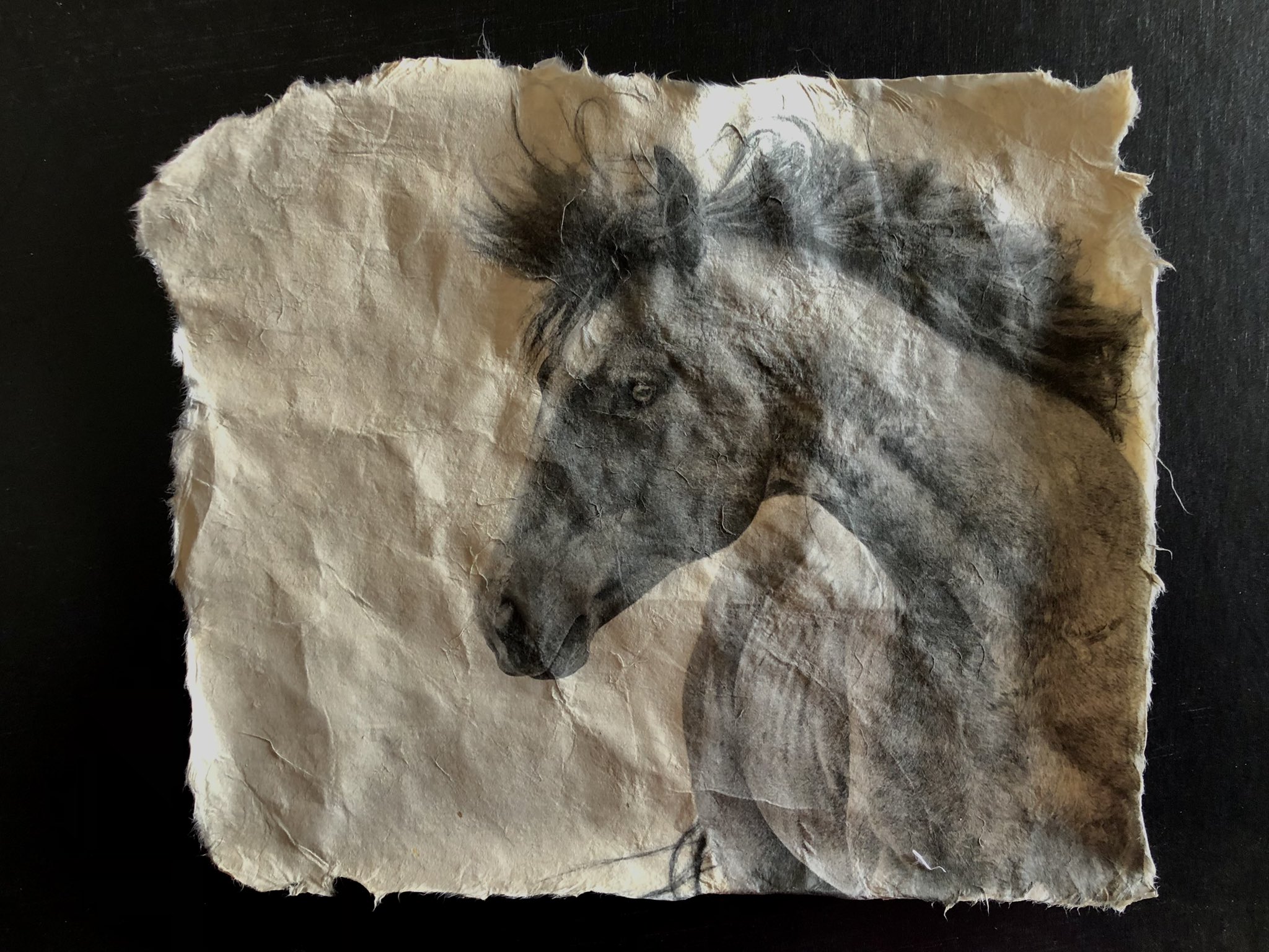 Deb Lee Carson (@DebLeeCarson) / Twitter