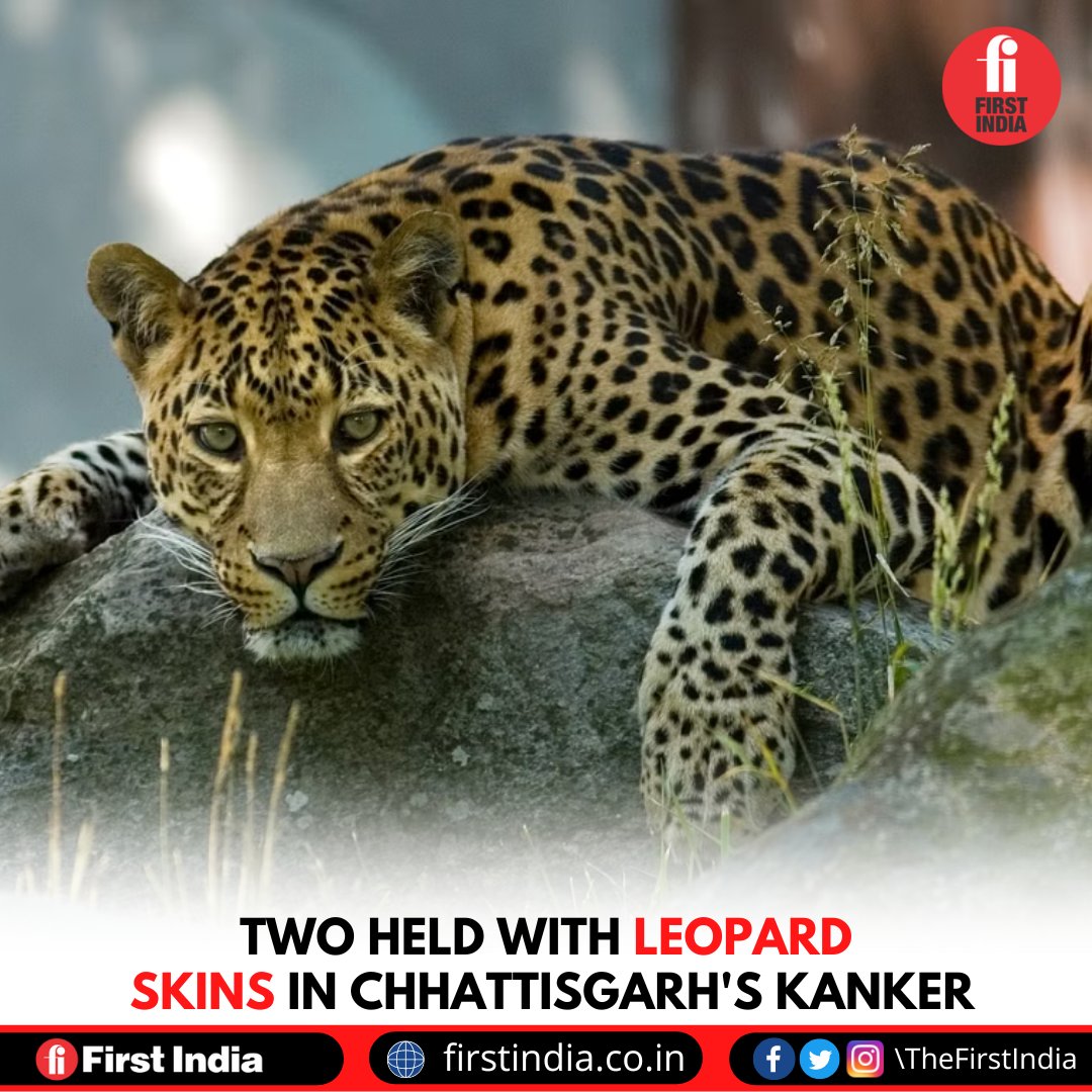 First India on Twitter: "Police have arrested two persons in connection with the smuggling of ...