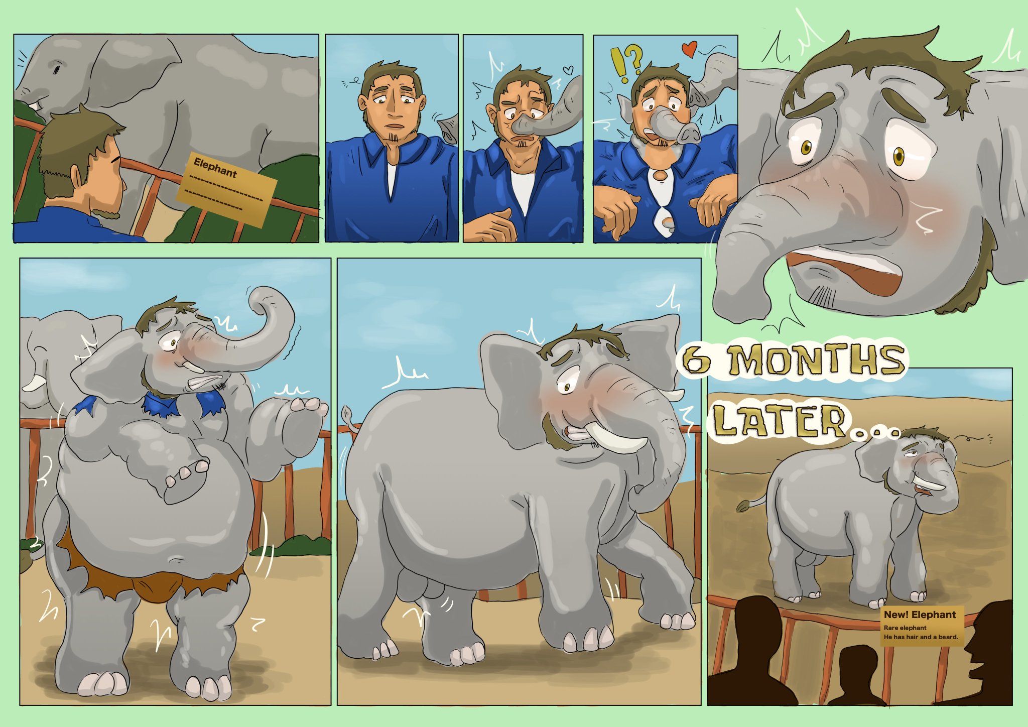 MISAWA 🔞 on Twitter: "象に気に入られると仲間にされます🐘/If the elephants like you, they will make you one of ...