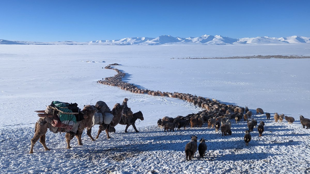 I've been following the same Kazakh family on their 140km spring ...
