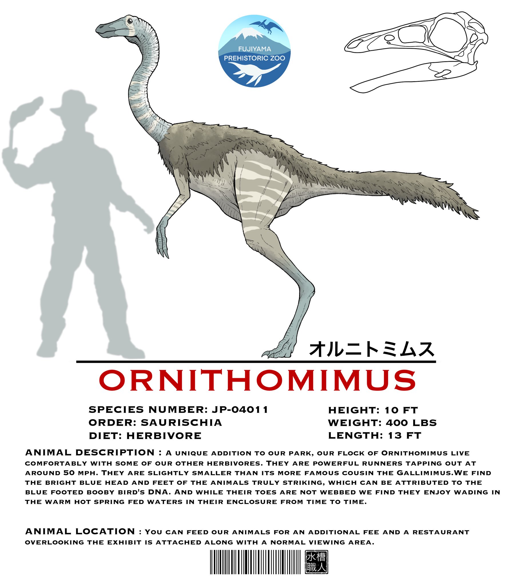 Ornithomimus