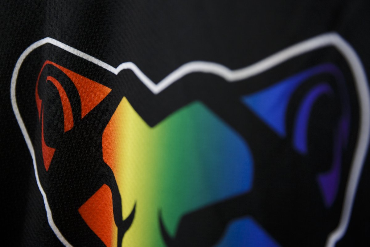 Neon Race Fox Wallpaper