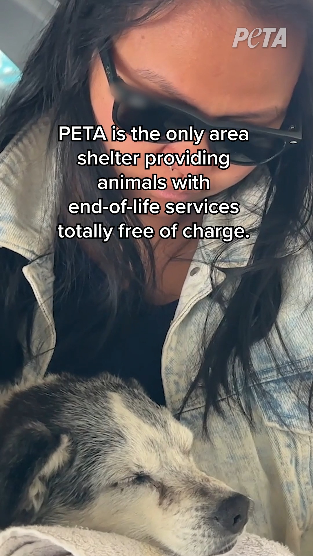 PETA on Twitter: "We provided free end-of-life help to ease Montie's suffering and bring peace ...