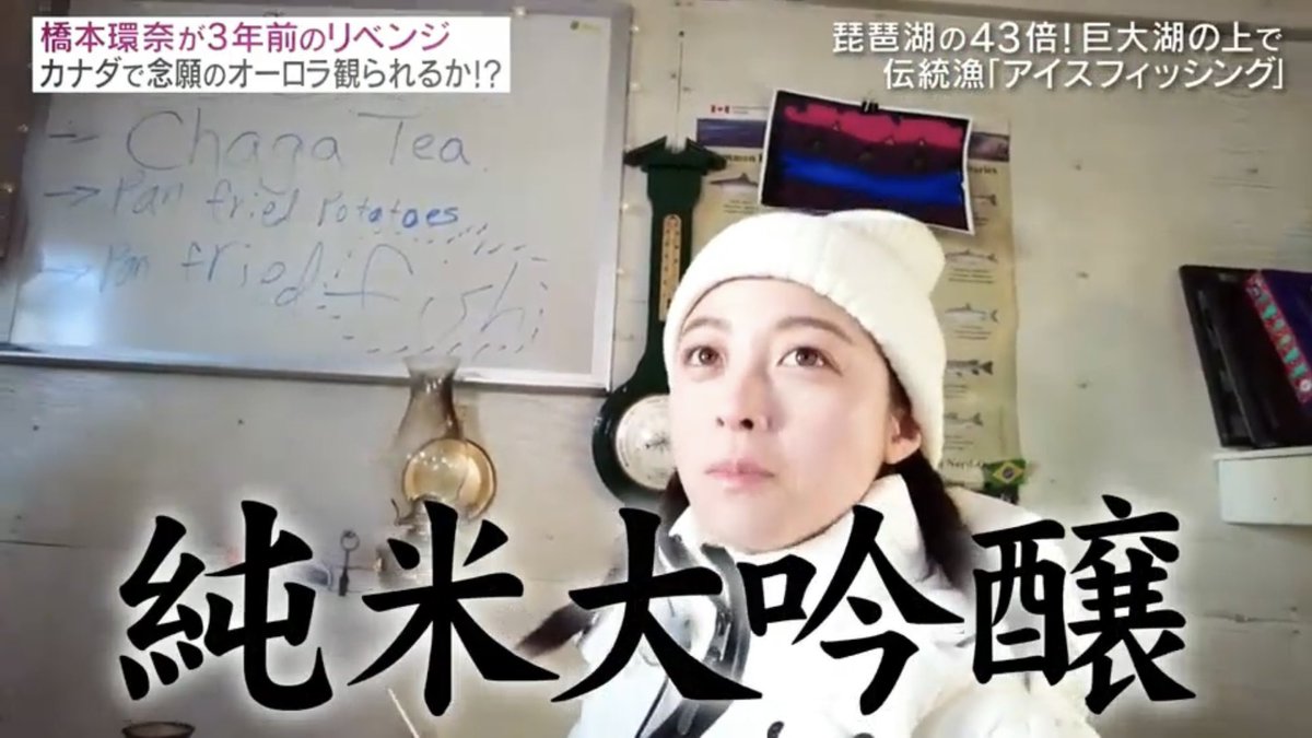 vitaminJP on Twitter: "#橋本環奈 #橋本環奈のリベンジ旅 https://tver.jp/episodes/epds78vg8s…"