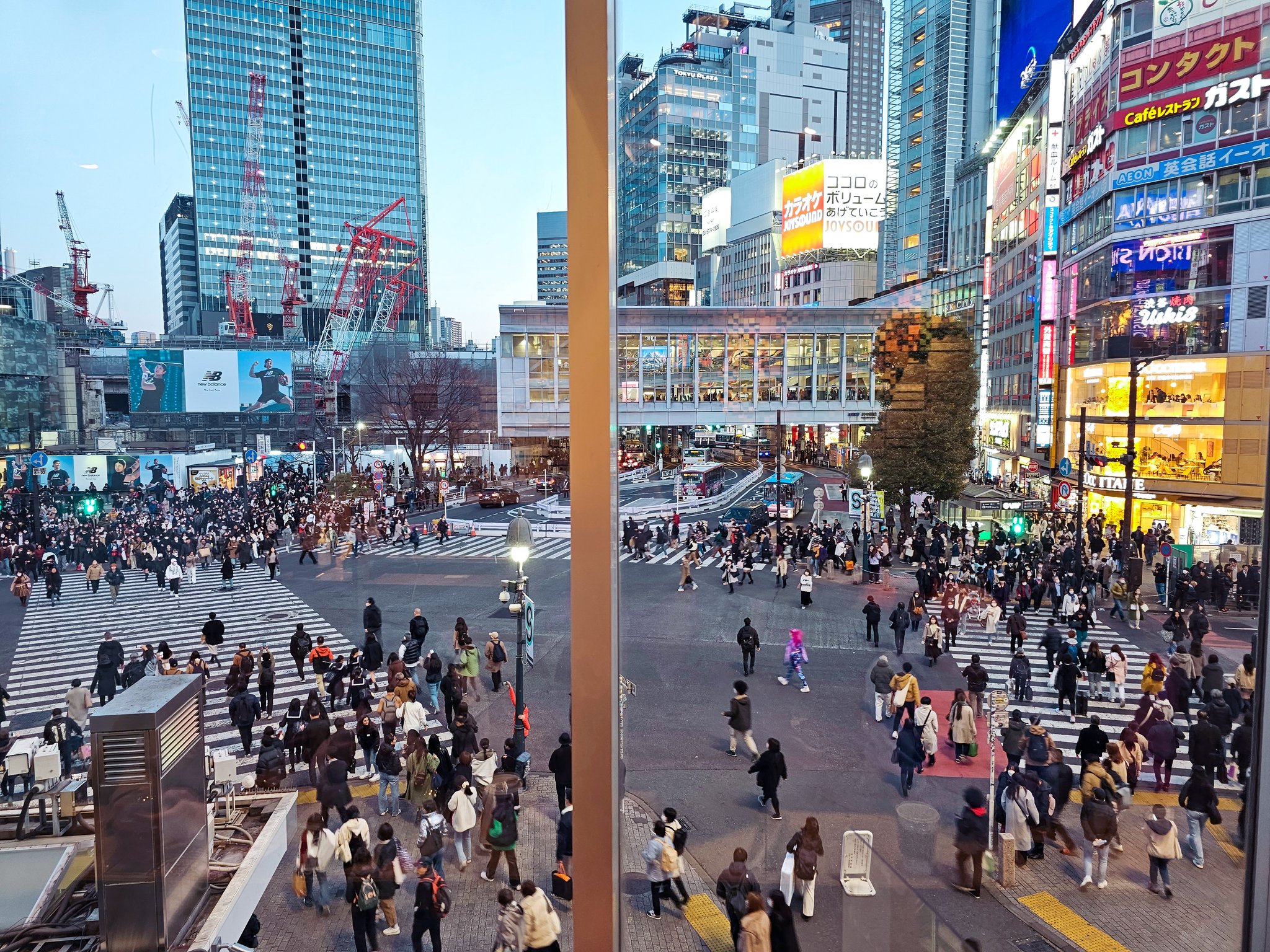 TW Pornstars - 1 pic. Rosie ☆ Pinipy 🇦🇺. Twitter. Spot the Pinipy. 3:00 ...