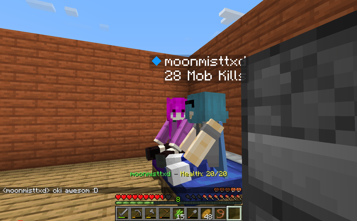 Evelyn (The Shipy Sea) 🐱 on Twitter: "3 hour lesbian minecraft session"