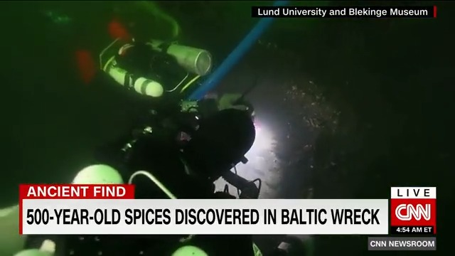 Divers Have Discovered 500 Year Old Spices In A Shipwreck In The Baltic