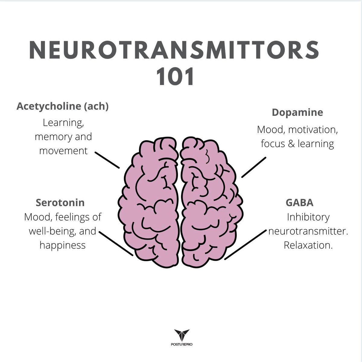 How to stimulate your neurotransmittors: acetylcholine: eat egg yolks 🥚 ...