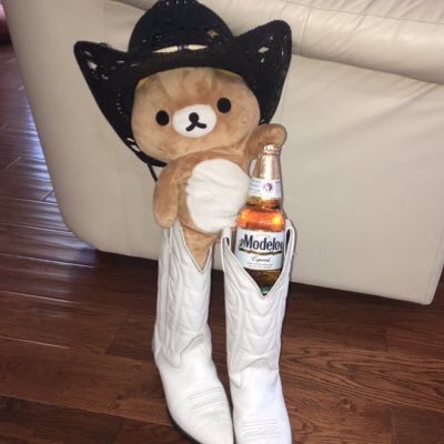 ﾟ Lemon*:･ﾟ (@LemonCatSenpai ):I have returned and will be posting ...