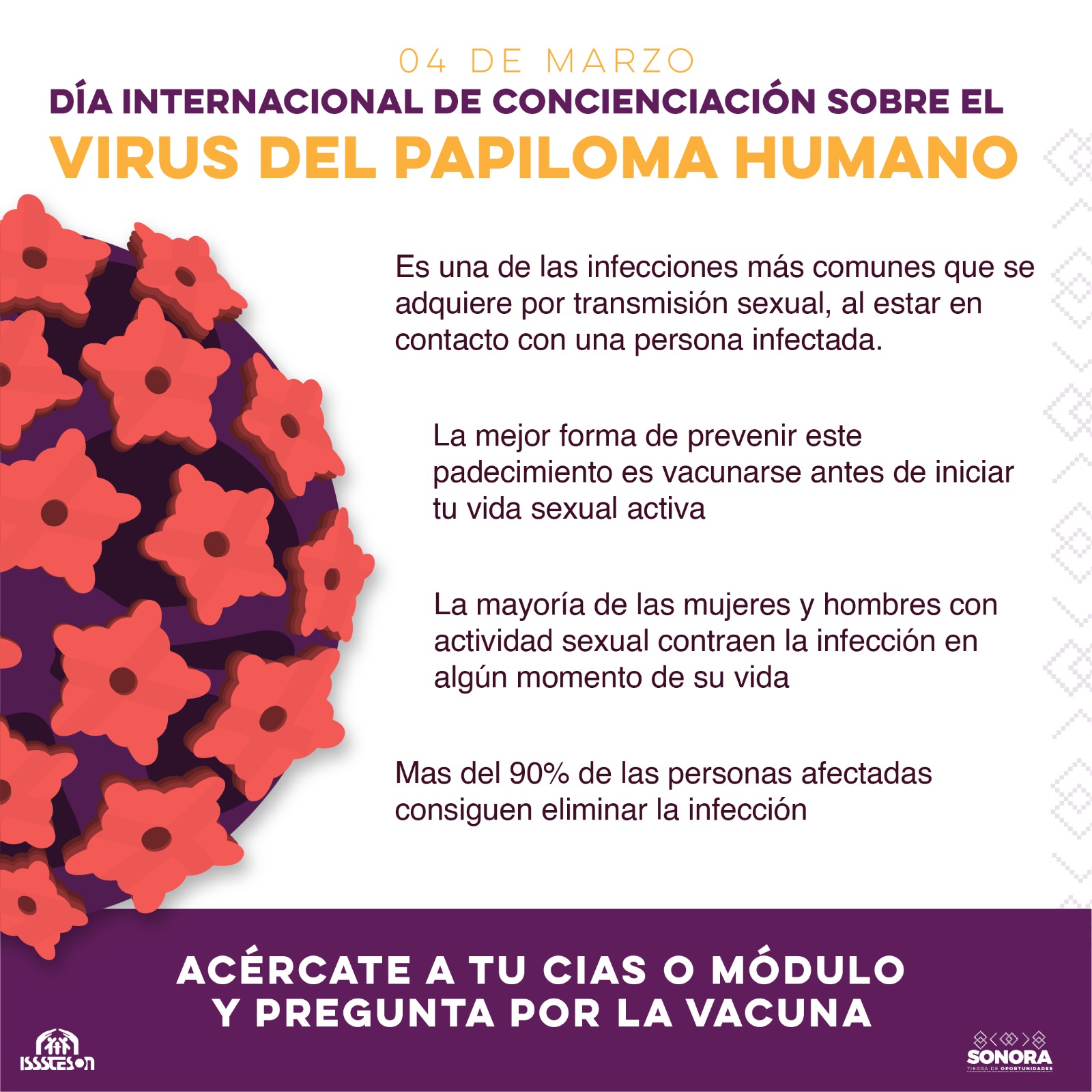 Virus Del Papiloma Humano Ano