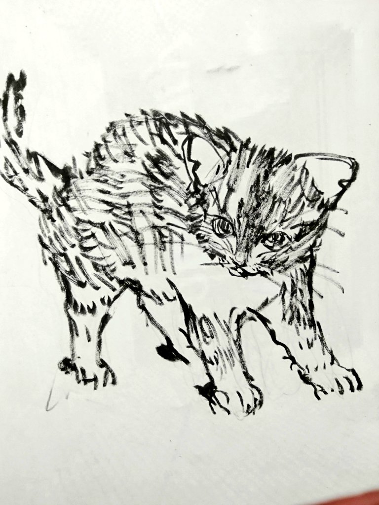 色 on Twitter: "RT @sim_kyrm: 毛を逆立てる小猫。普段、飼い主の前で猫は系逆立てることはしないから、いまいちよくわからないけど、全身の毛の根元に毛を逆立てる筋肉がある ...