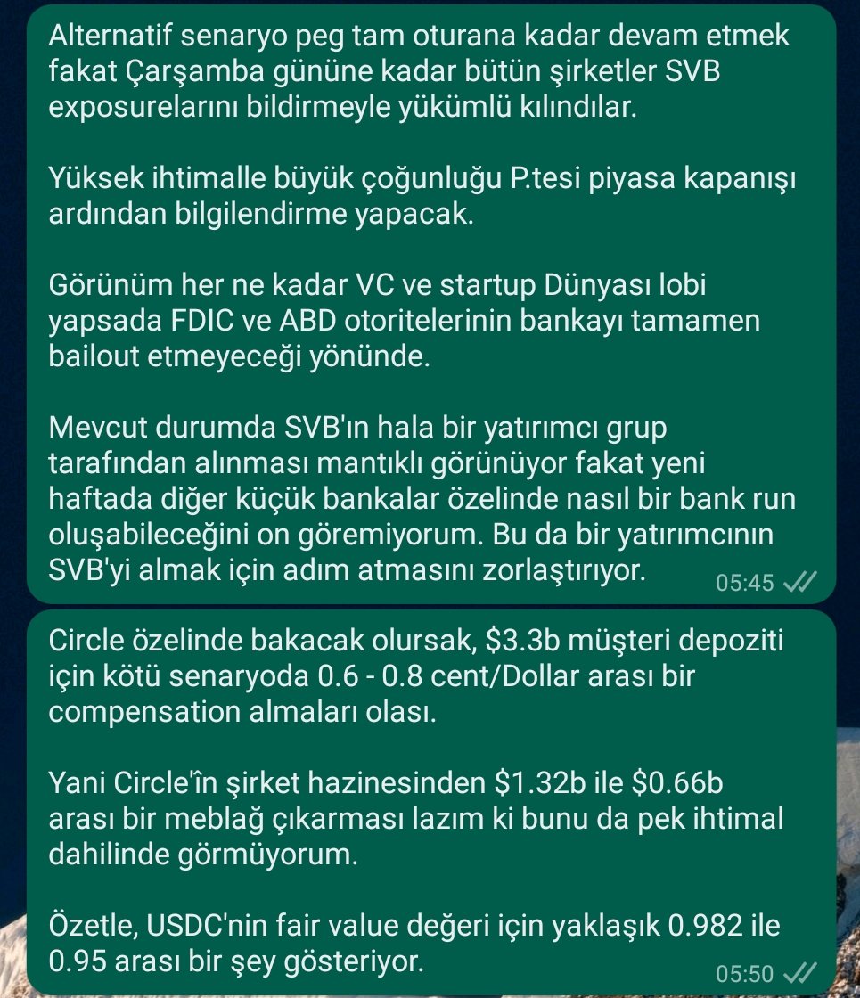 Efe Bulduk on Twitter: "USDC ve SVB konusuyla ilgili dostlarıma yaptığım son güncelleme. Özetle ...