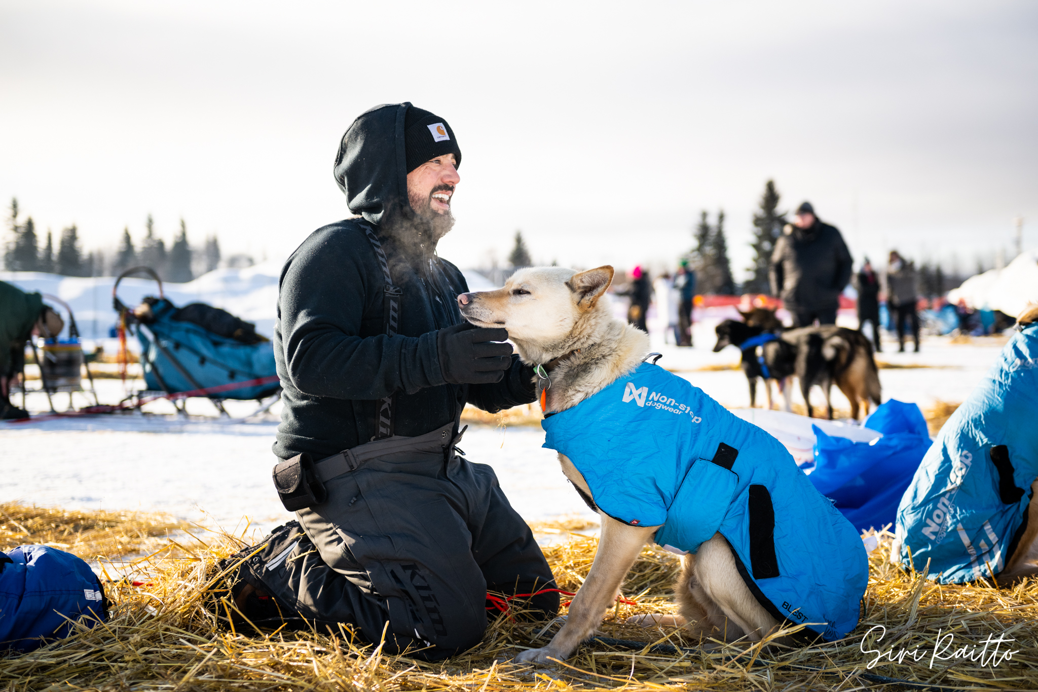 The Iditarod on Twitter: "Rookie musher Gregg Vitello (bib #29), of ...