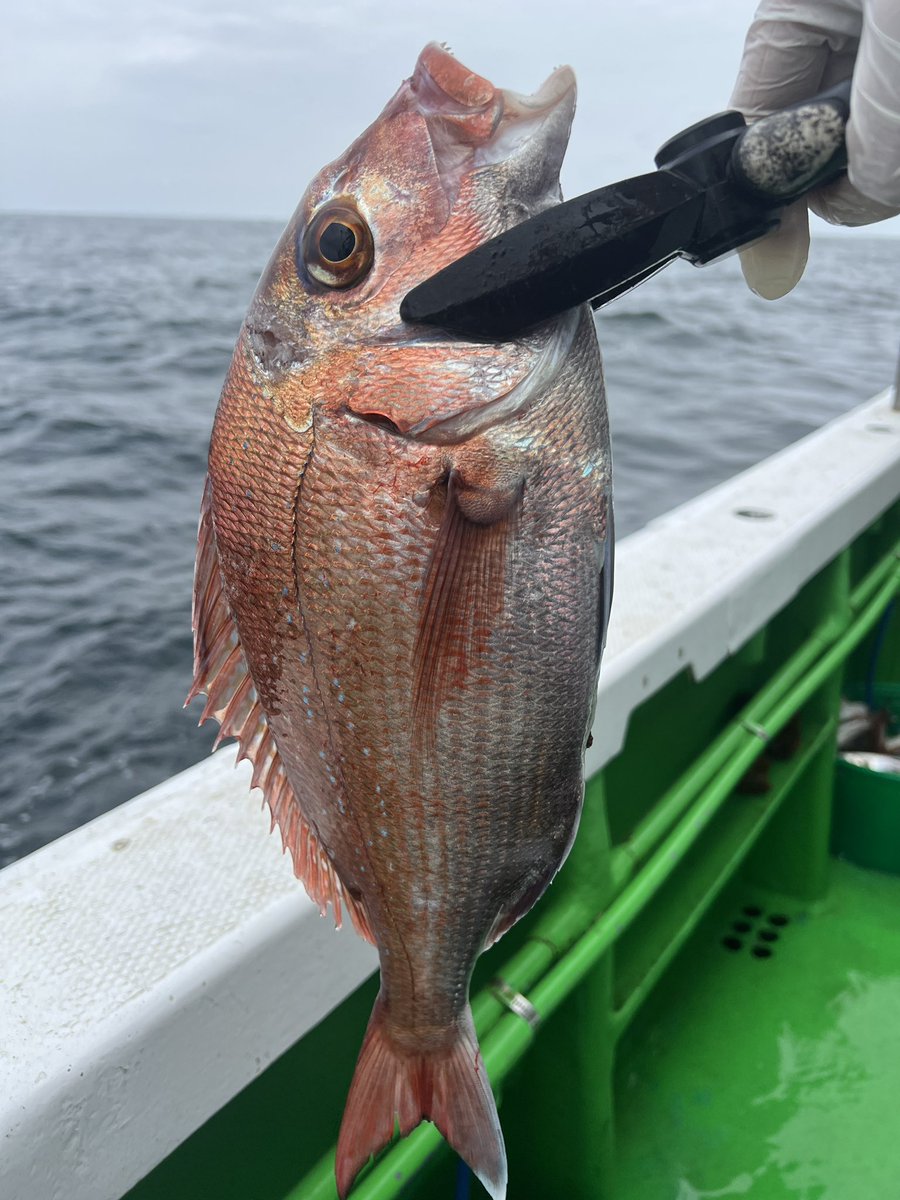 Shintaroh Yokotani(@valleyside) - Twilog (ツイログ)