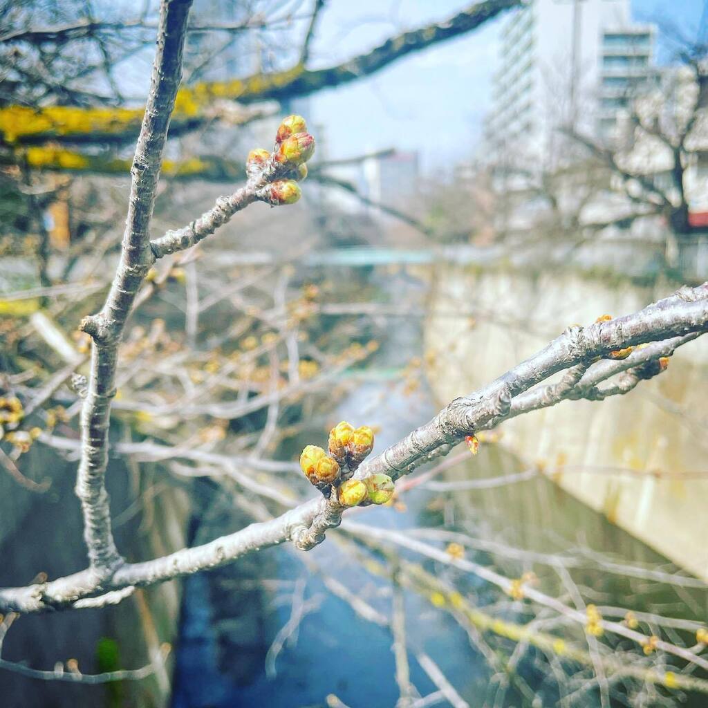 hirofumix™(@hirofumix) - Twilog