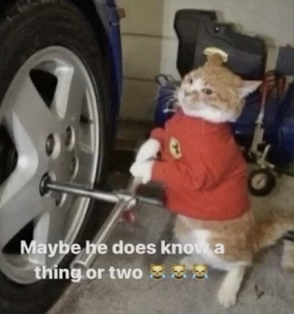 yo honestly nevermind might not actually be that terrible | ktt2