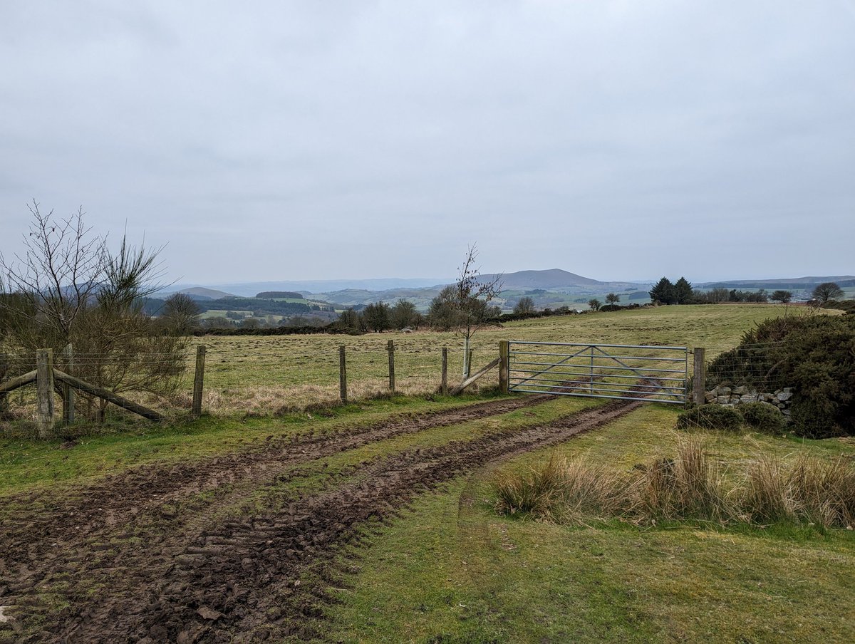 Thread by @zugzwanged on Thread Reader App – Thread Reader App